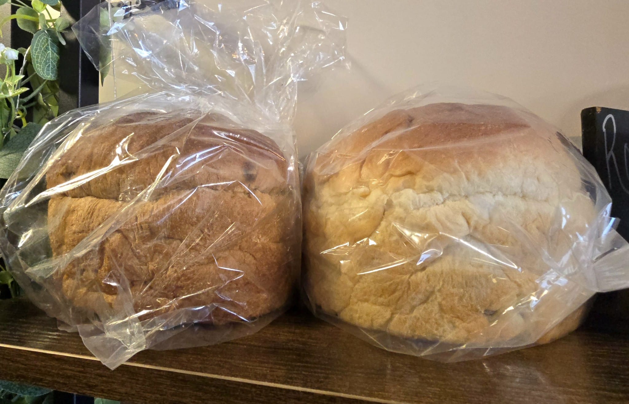 Mitz Bakery Opens on Main Street in Hellertown – Saucon Source